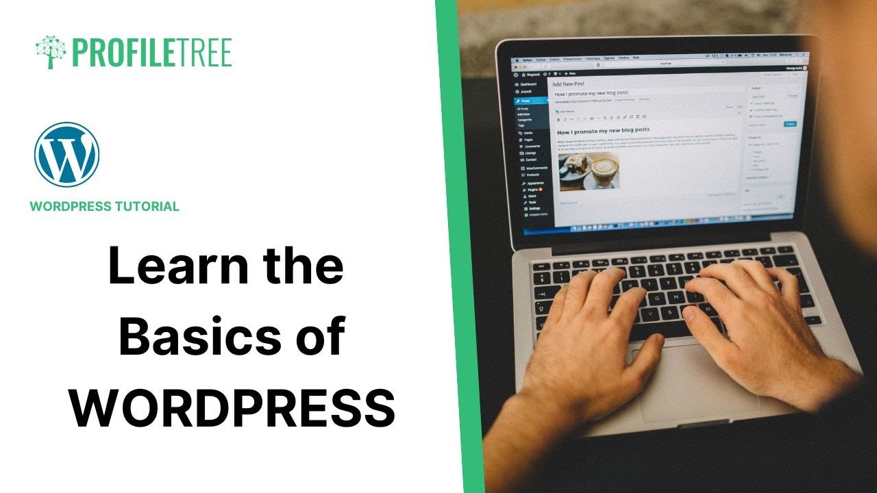 Learn The Basics Of Wordpress Wordpress Wordpress Tutorial How To