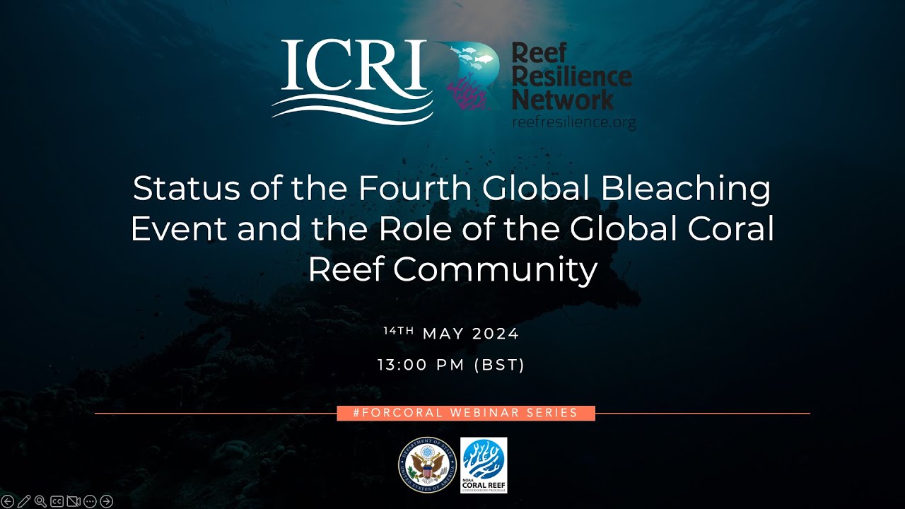 Icri Forcoral Webinar The Fourth Global Bleaching Event Youtube