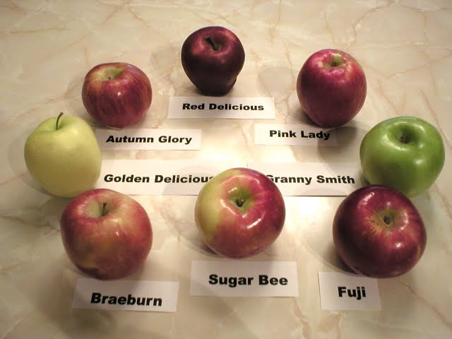 Mcintosh Apple