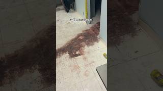 I Had The Entire Mall Of America To Myself Ugh Madison Mp3 Music & Mp4 ...