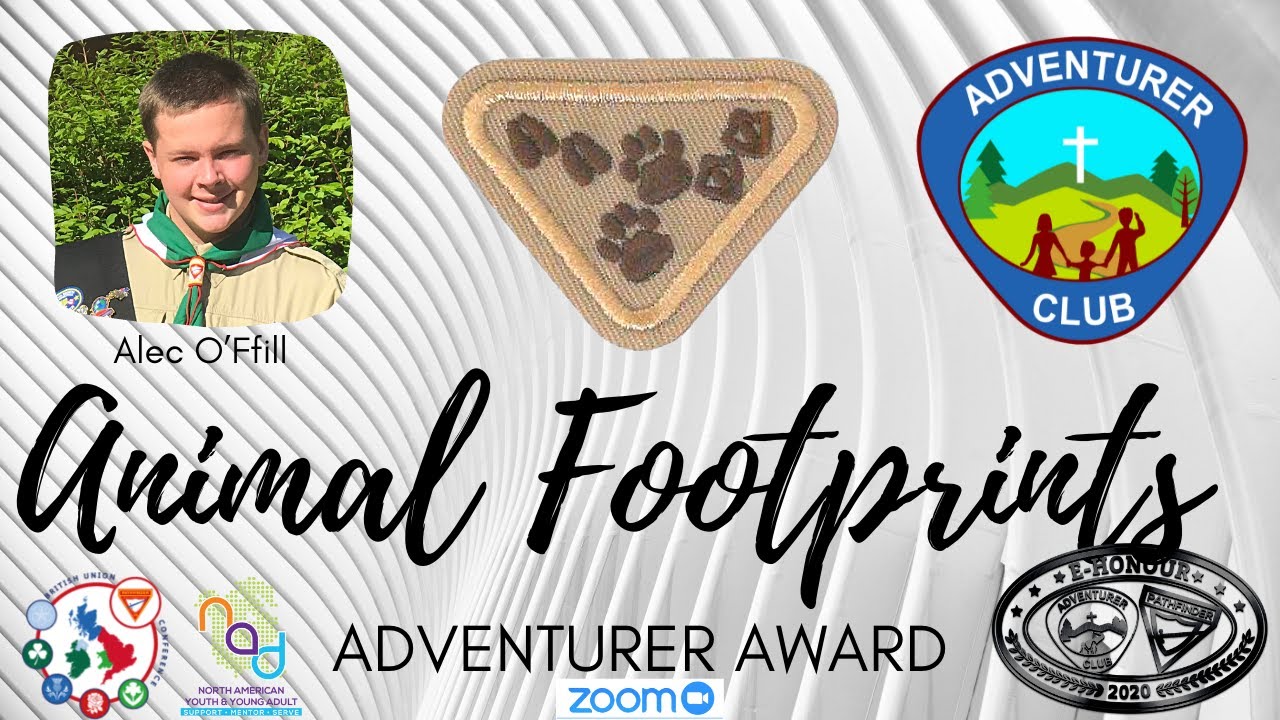 Animal Footprints Adventurer Award Youtube