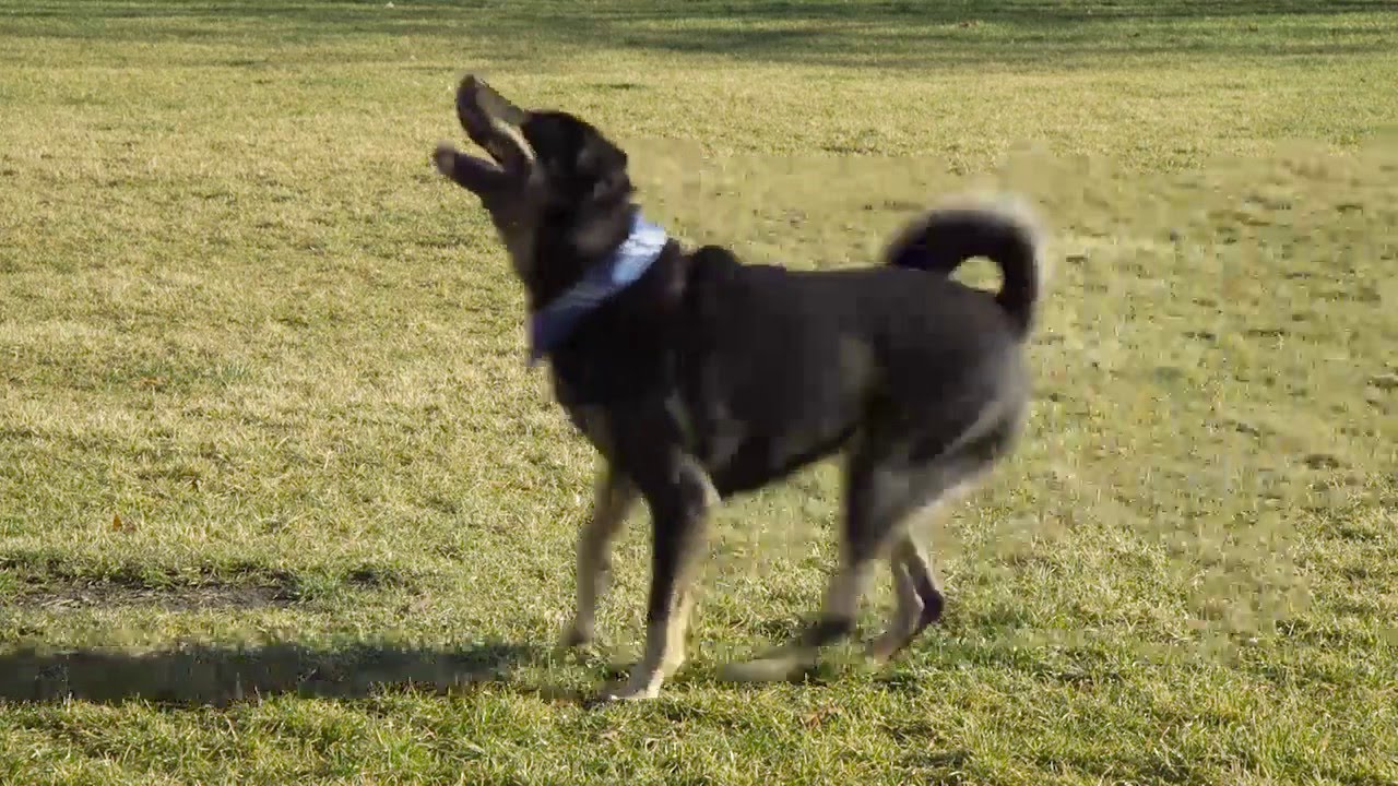 Donorschoose Youtube