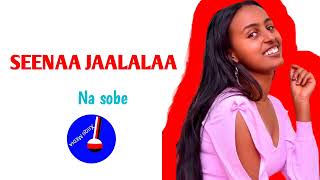 Samson Zinabu Araddaa Tufaa New Ethiopian Afan Oromo Music 2025 Video ...