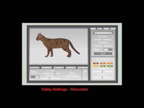 Realistic Cat Creator Video 2 Tabby Options Youtube