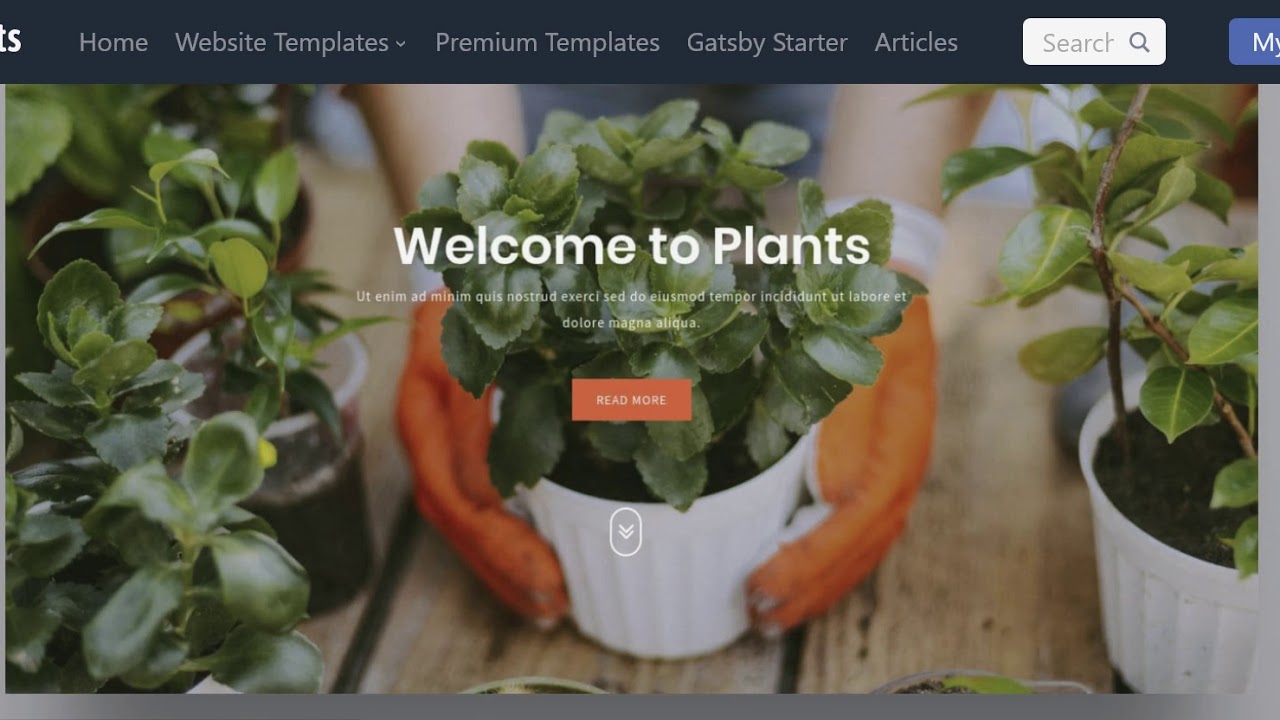 Create Website W3layouts Free Templates Download Youtube