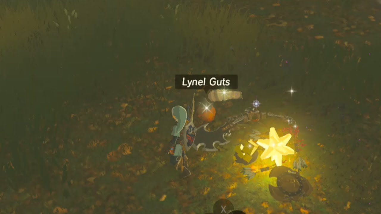 Fierce Deity Needed Some Gold Lynel Guts Zelda Breath Of The Wild