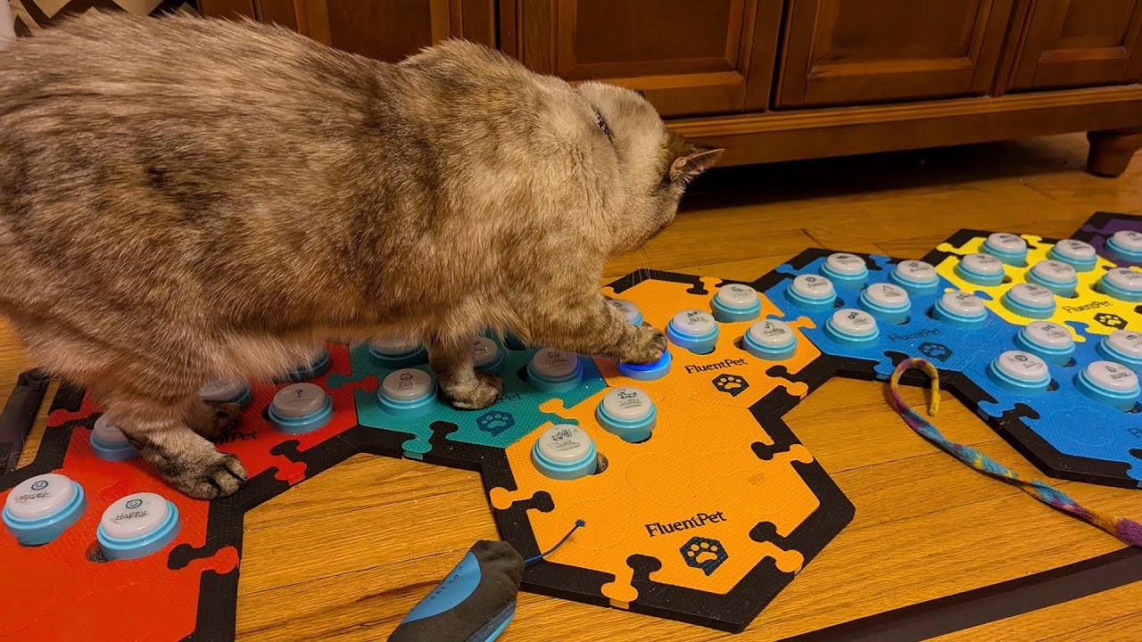 Tech Support Youtube