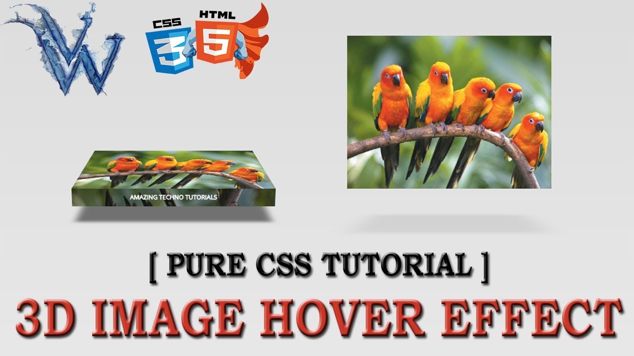 3d Image Hover Effects Css Cool Css Effects 2018 Pure Css Tutorial