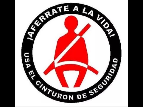 Falla En Testigo De Aviso De Cinturón De Seguridad Diagnóstico Fácil