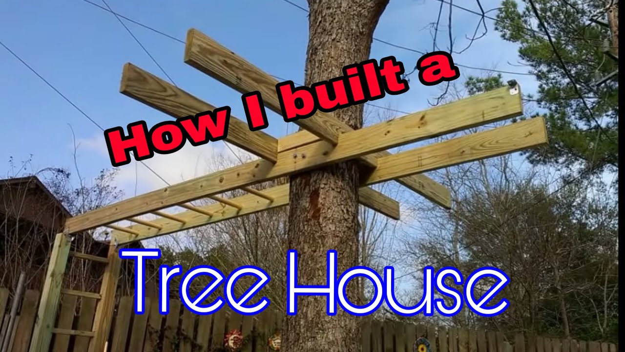Tree House Project 1 Youtube
