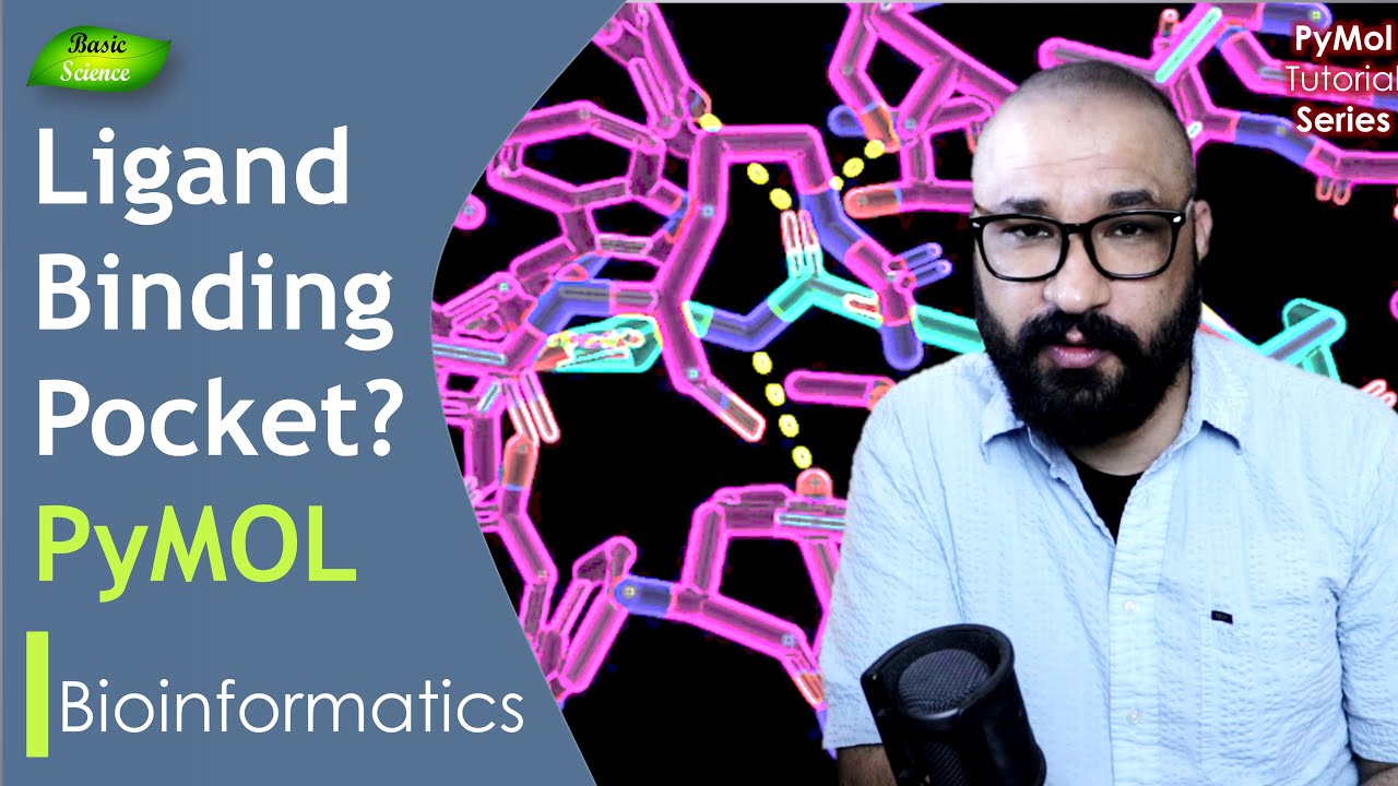 Pymol Ligand Protein Interactions Pymol Tutorial Protein Data Bank