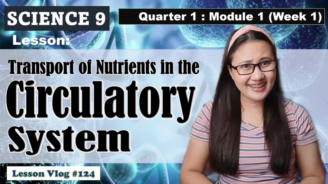 Science 9 Q1 Transport Nutrients In The Circulatory System Part 1