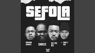 Sefola Sia Thebee Topic Mp3 Music & Mp4 video downloads