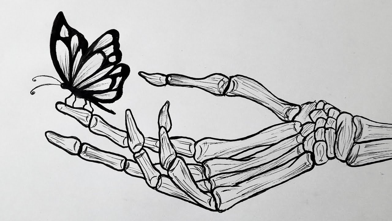 Skeleton Hand Drawings