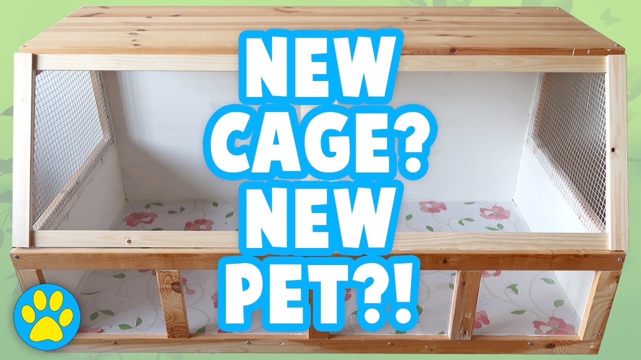 Diy Wood Hamster Cage Building The Bunsen 1069sq Inches 1 3 Youtube