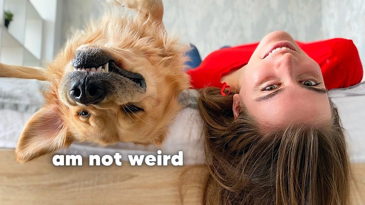 My Dog Does Weird Things Youtube