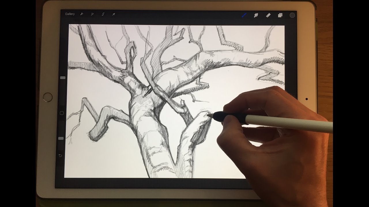 Apple Pencil Drawing
