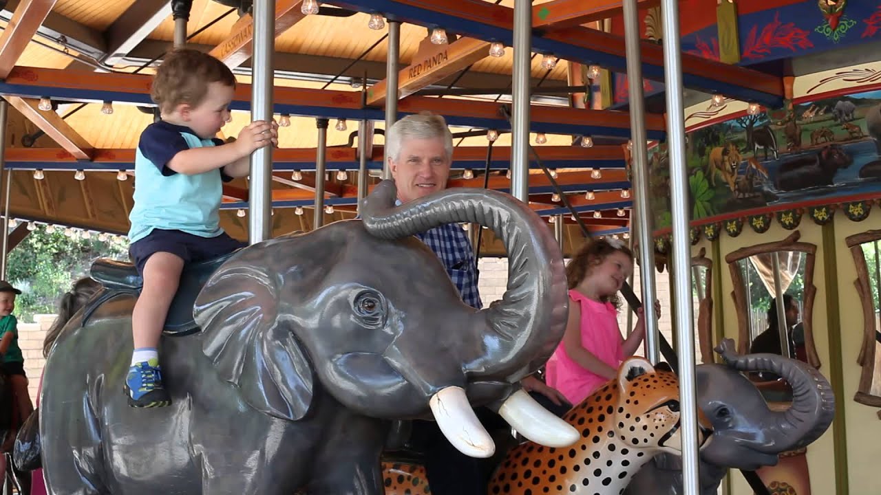 Zoo Day 1 Slc Youtube