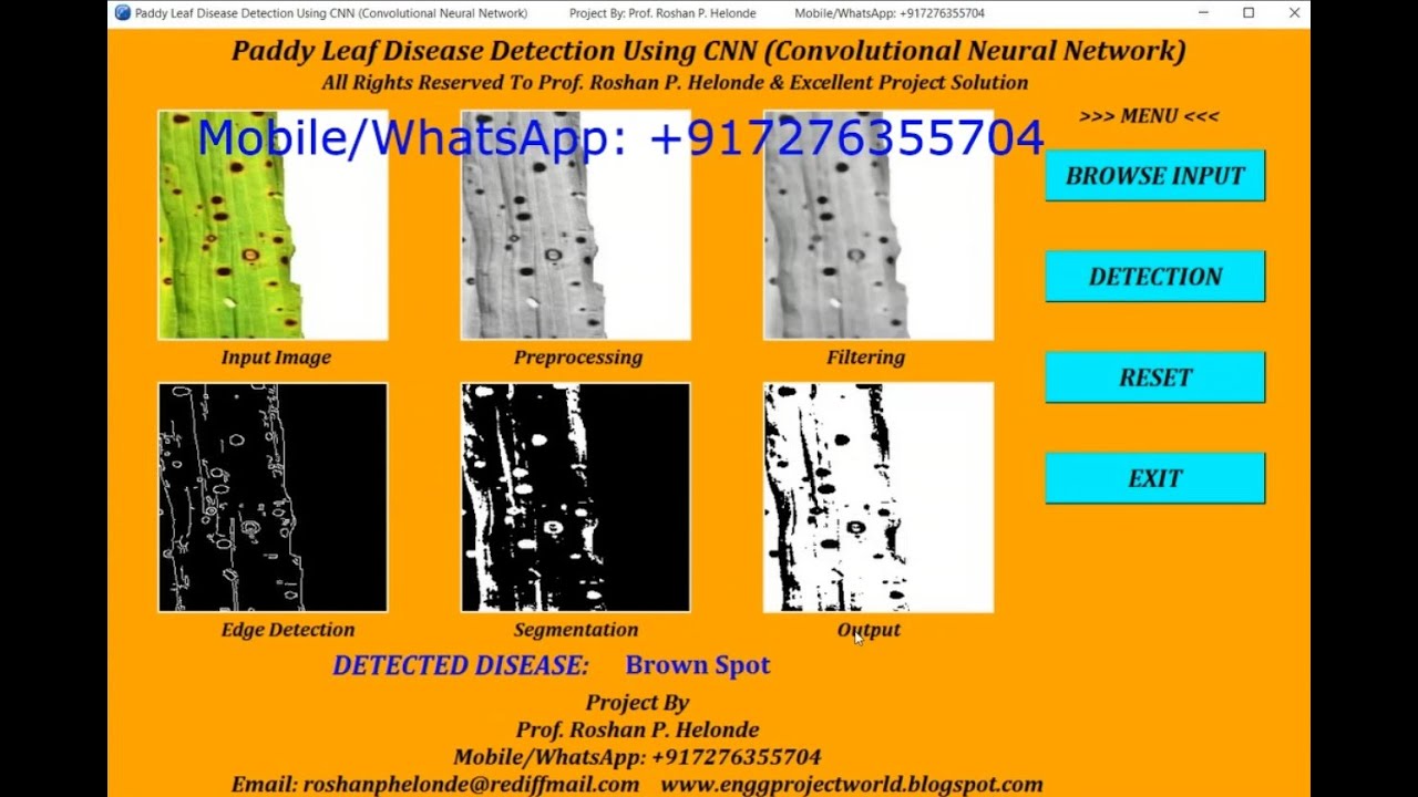 Paddy Leaf Disease Detection Using Cnn Convolutional Neural Network