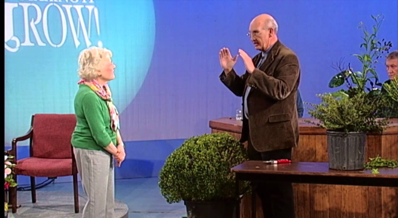 The 3 Pruning Methods Youtube