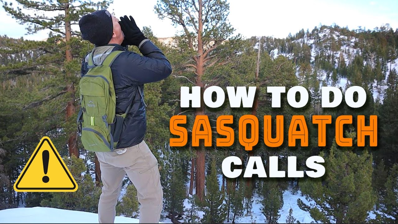 Sasquatch Calls In The Wild Tree Knocks And Howls Youtube