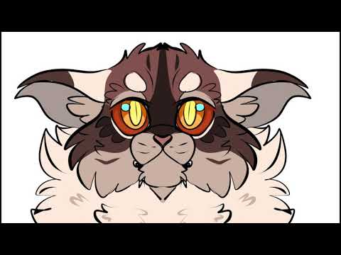 Tigerkit Be Starin Youtube