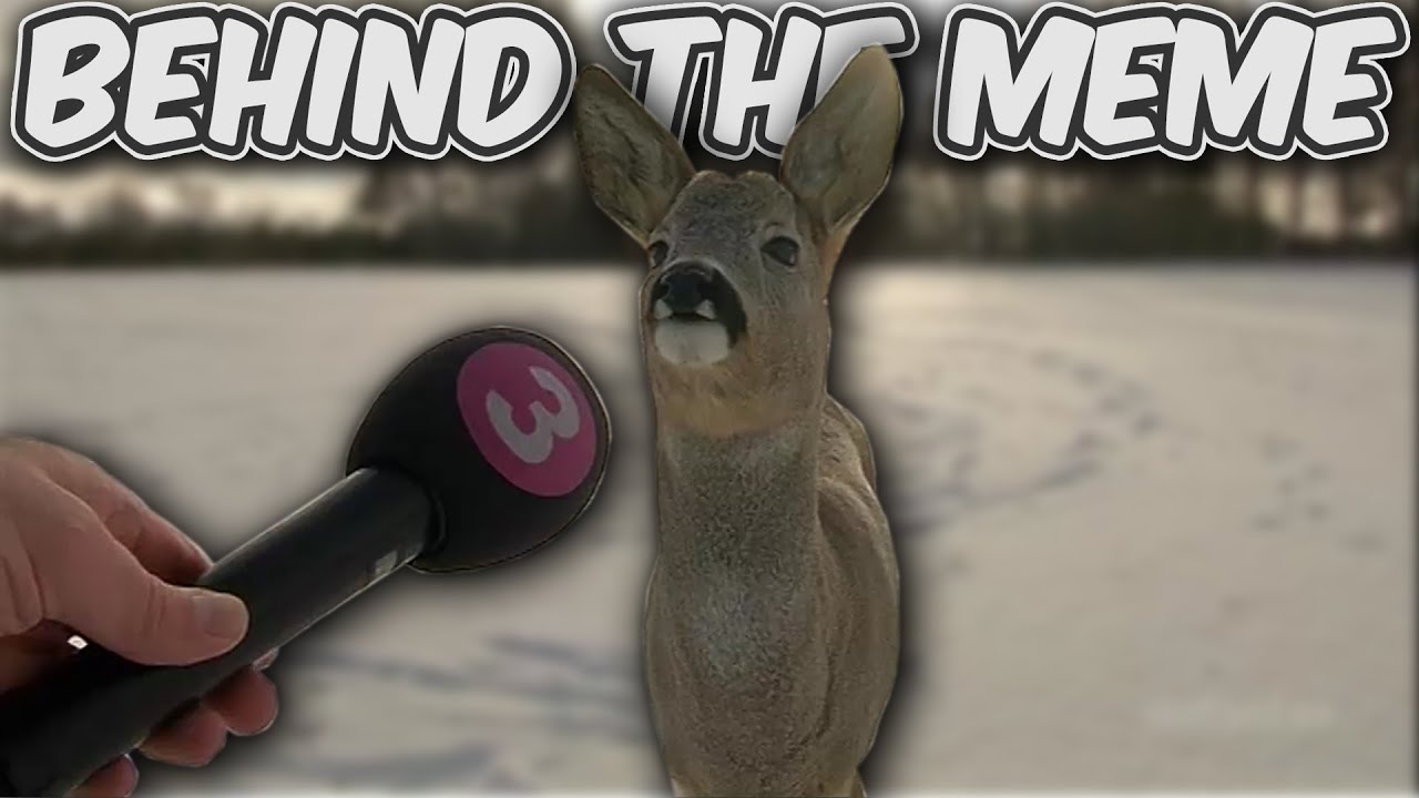 Why Is This Deer Being Interviewed Behind The Meme Youtube