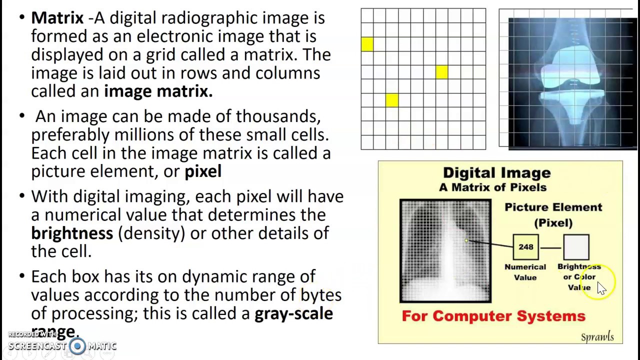 Digital Imaging Terms Basic Overview Youtube