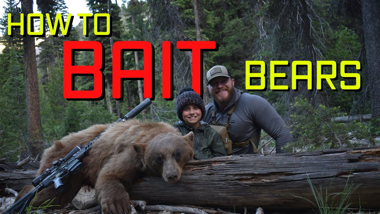 Bear Baiting Bear Hunting Tips And Tricks Hunt365 Youtube