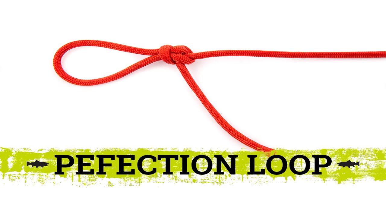 Perfection Loop Youtube
