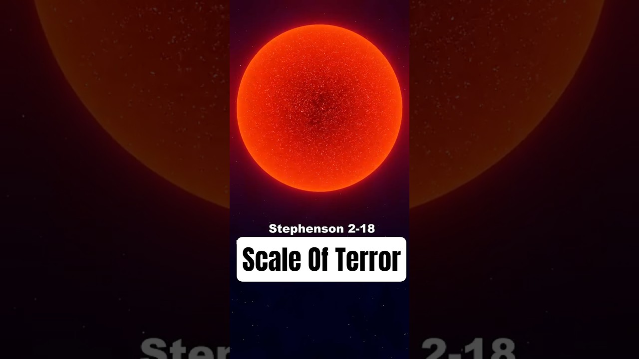 Our Sun Compared To Largest Known Star