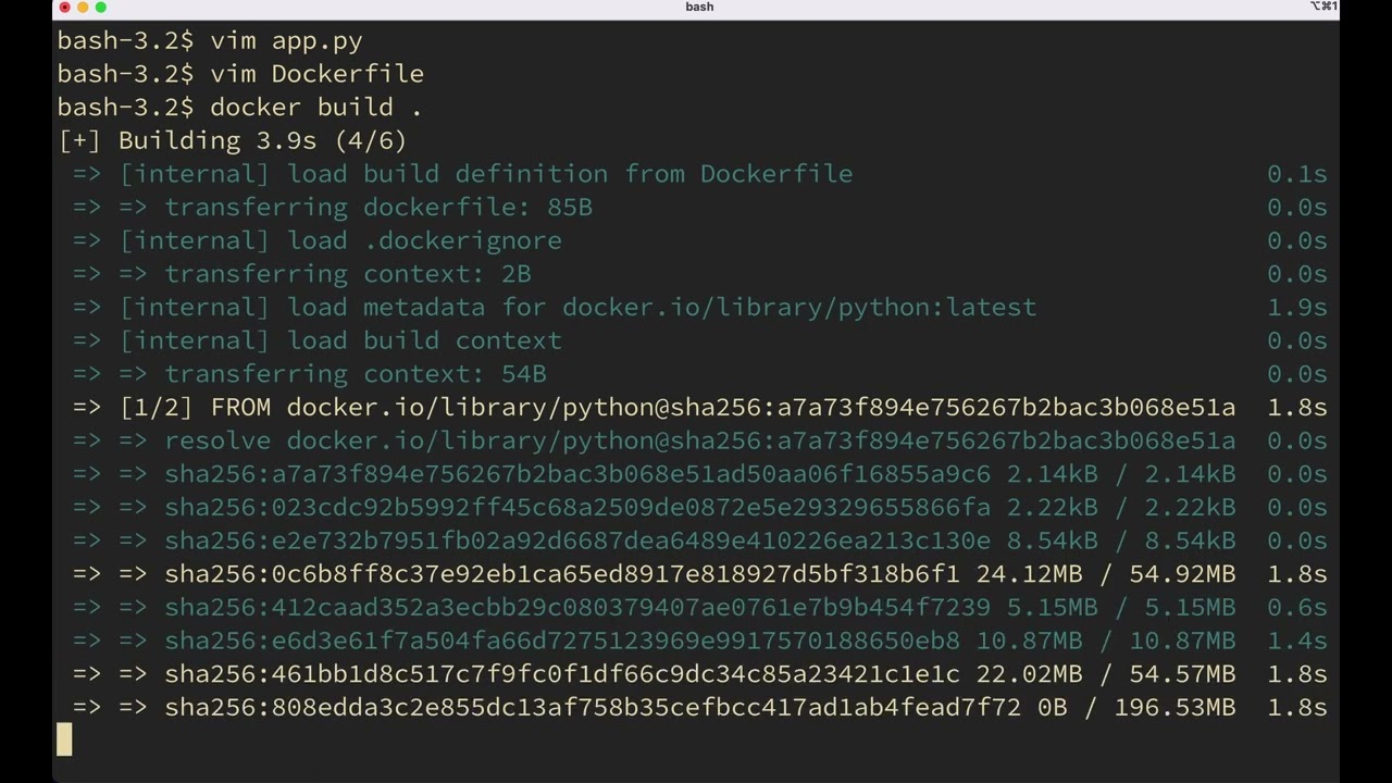 Hello World Python Docker Youtube