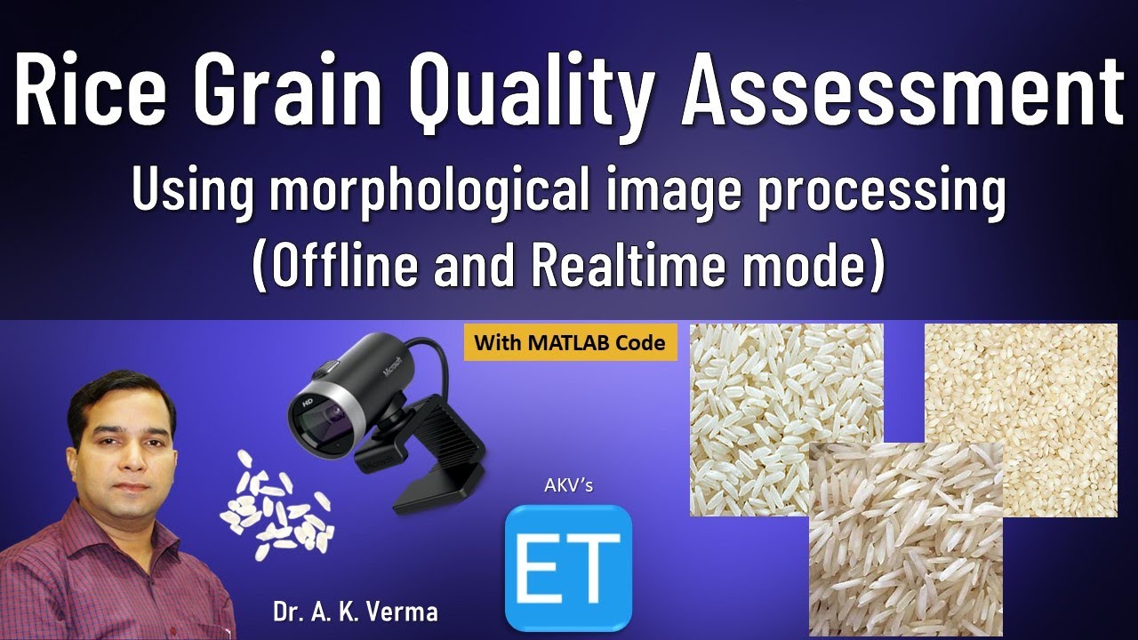 Rice Grain Quality Assessment Using Morphological Image Processing