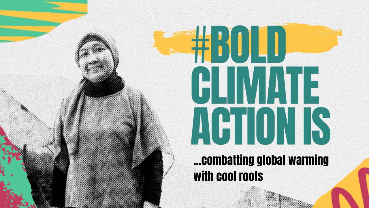 Boldclimateactionis Combatting Global Warming With Cool Roofs Beta