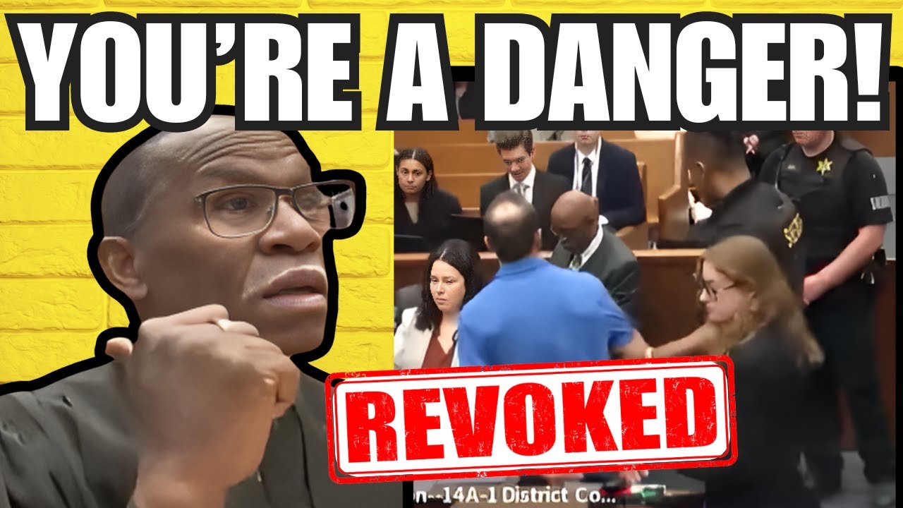 Judge Simpson You Re A Menace To Society A Danger Youtube