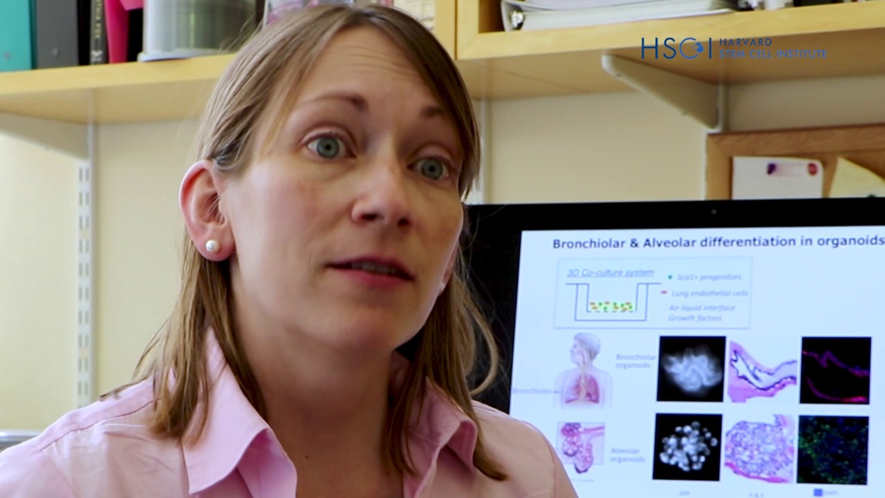 Carla Kim Using Lung Organoids For Personalized Medicine Youtube