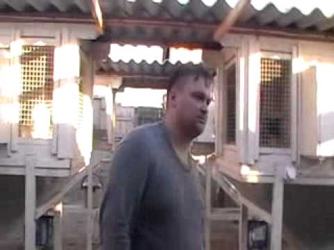 кролики Youtube