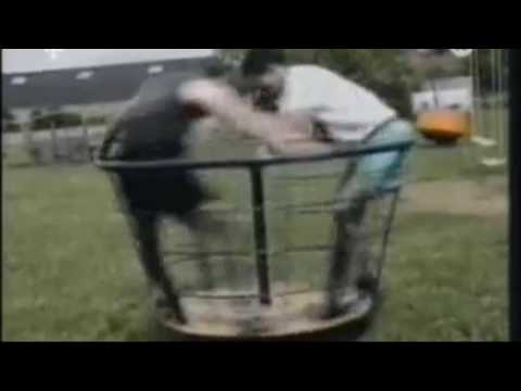 Graciosos Vídeos Iii Youtube