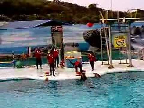 0408travel1 Youtube