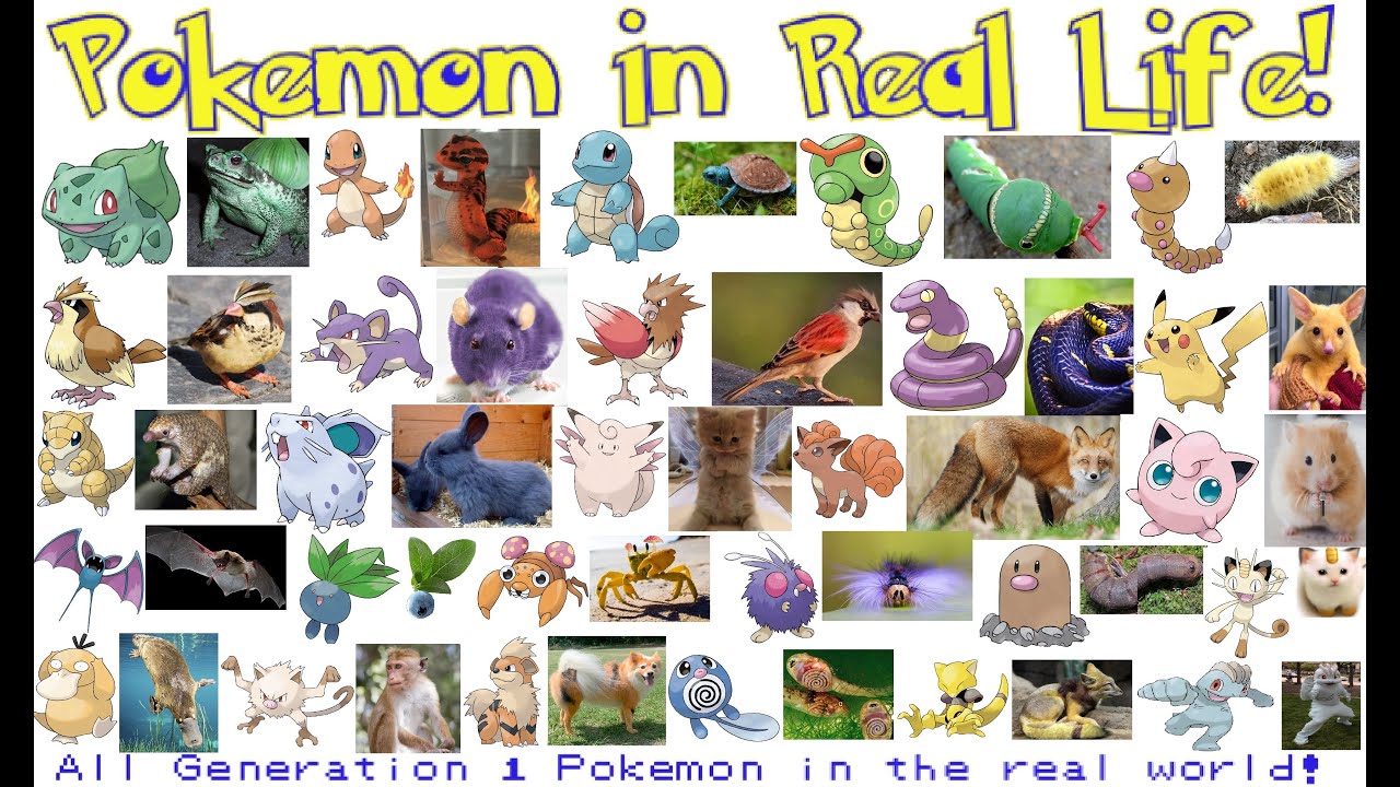 Pokémon Irl All Generation 1 Pokémon In Real Life Youtube