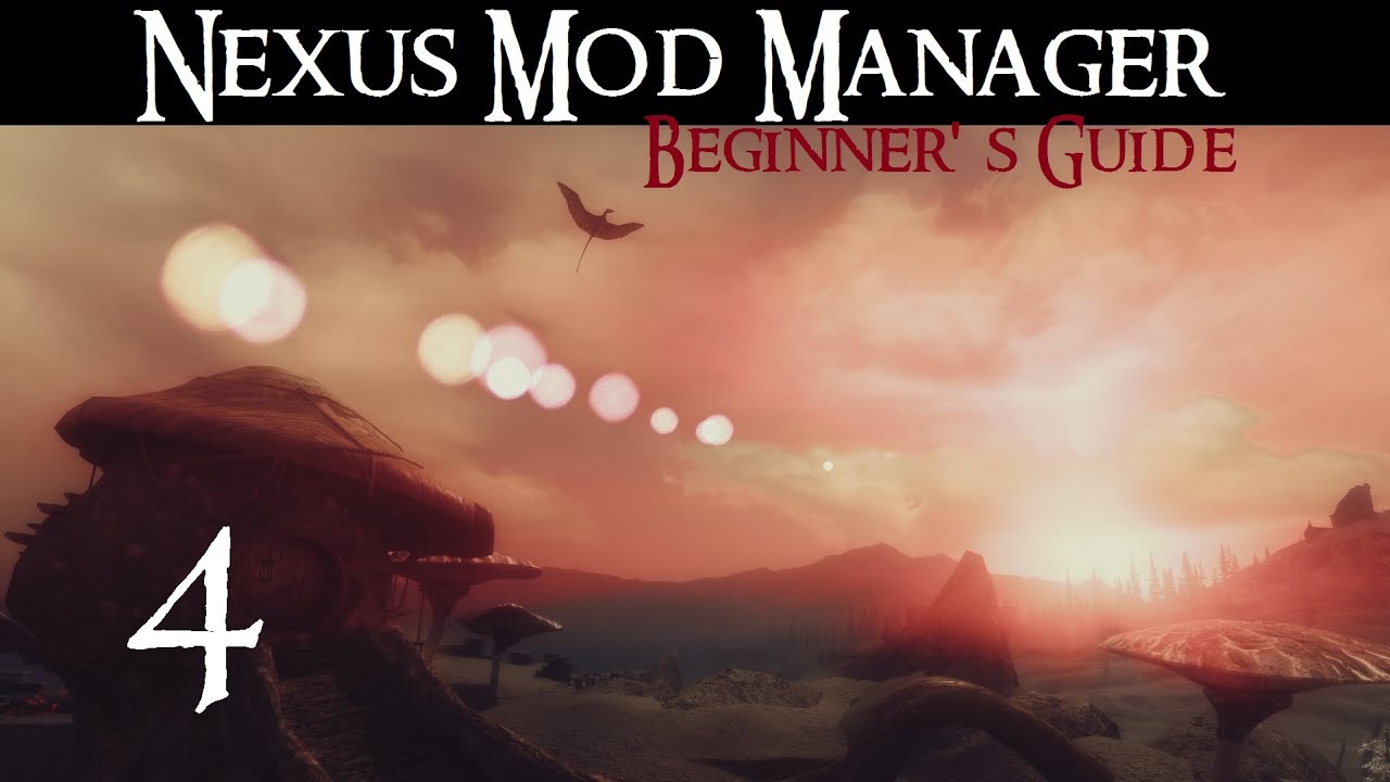 Nexus Mod Manager