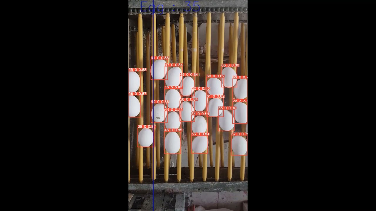 Eggs Counting In Industry Using Opencv Yolov5 Deep Sort Youtube
