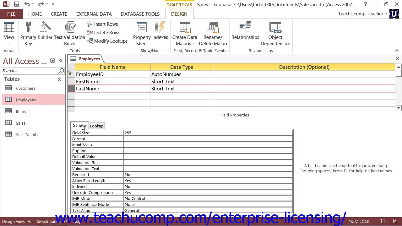 Microsoft Office Access Tutorial 2013 Field Properties 4 1 Employee