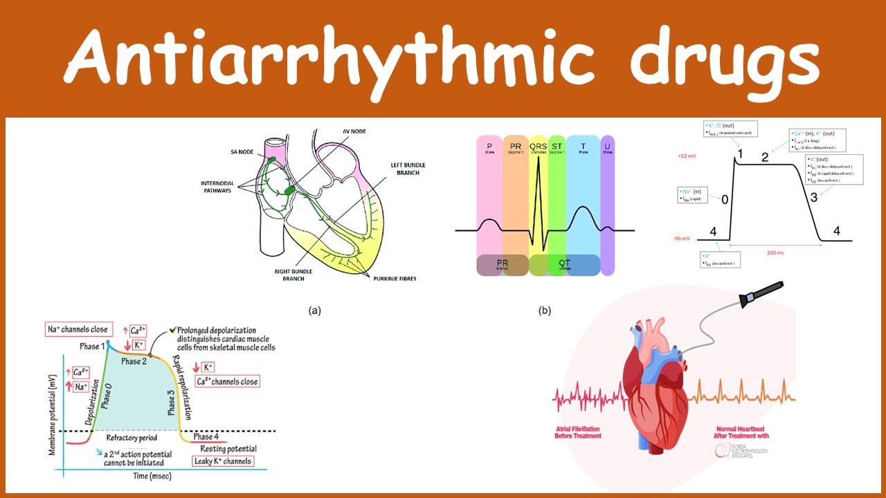 Antiarrhythmic Drugs Pharmacology Classification Pharmacology