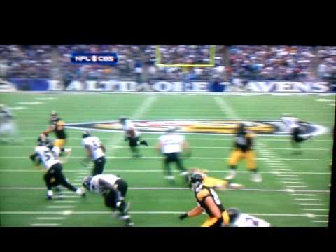 Jarret Johnson Levels Hines Ward Youtube