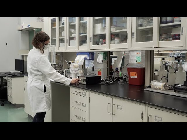 Bioengineering