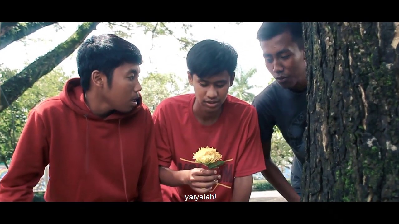 Parody Tiktok Youtube