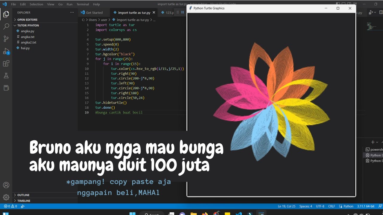 Coding Bungaрџњј Youtube