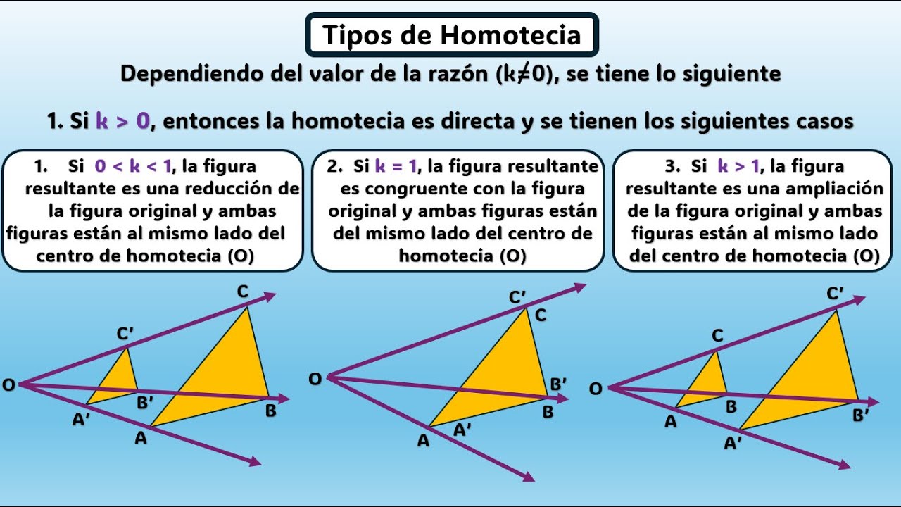 вїquг Es La Homotecia Tipos Propiedades Y Vectoresрџ ї La Mejor
