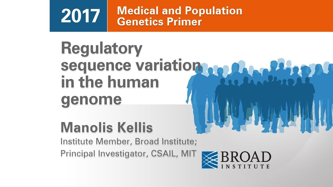Mpg Primer Regulatory Sequence Variation In The Human Genome 2017